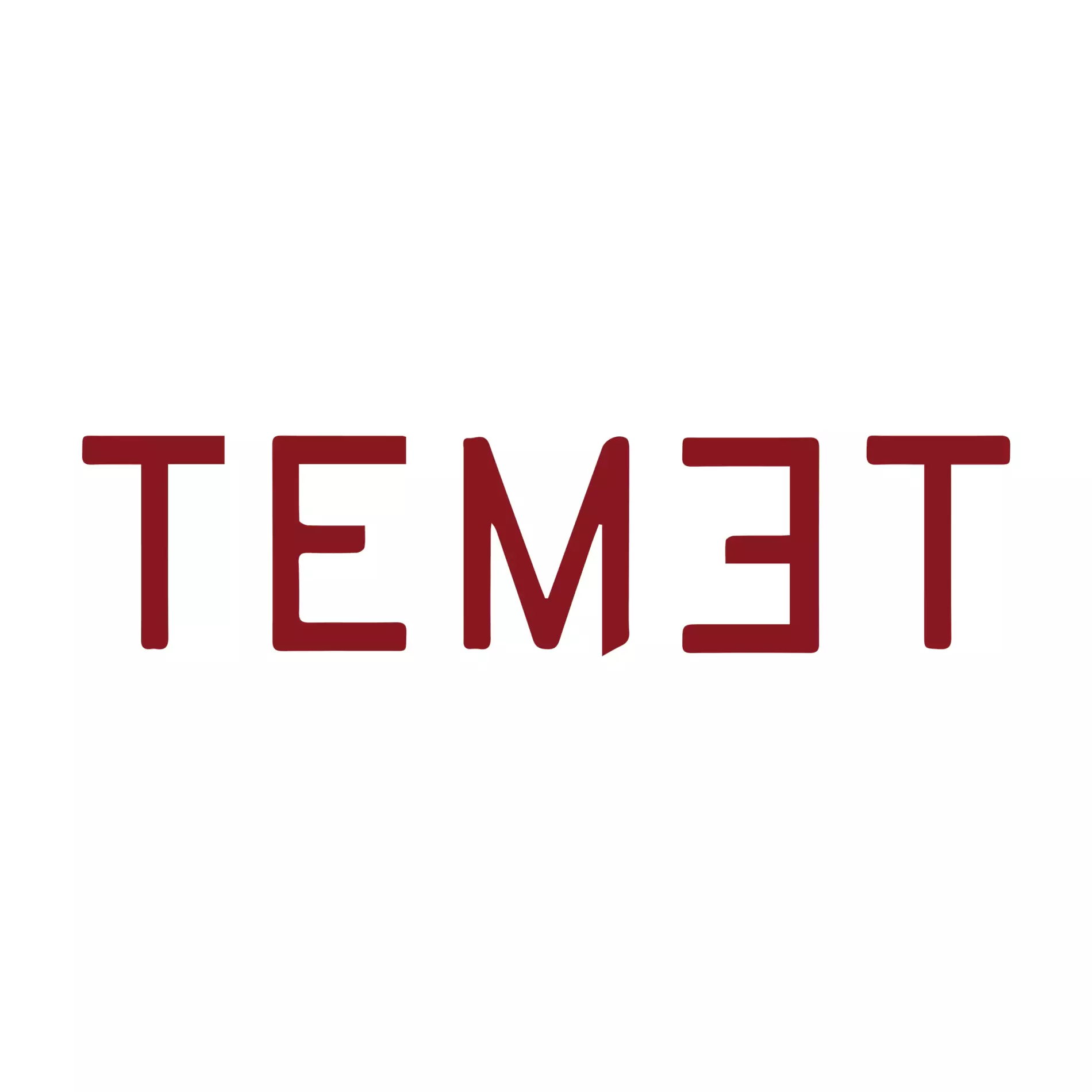 Temet – Controllo di Gestione | Partner - UCS Aziendali